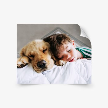 Kmart Photos - Product - 16x16" Repositionable Poster